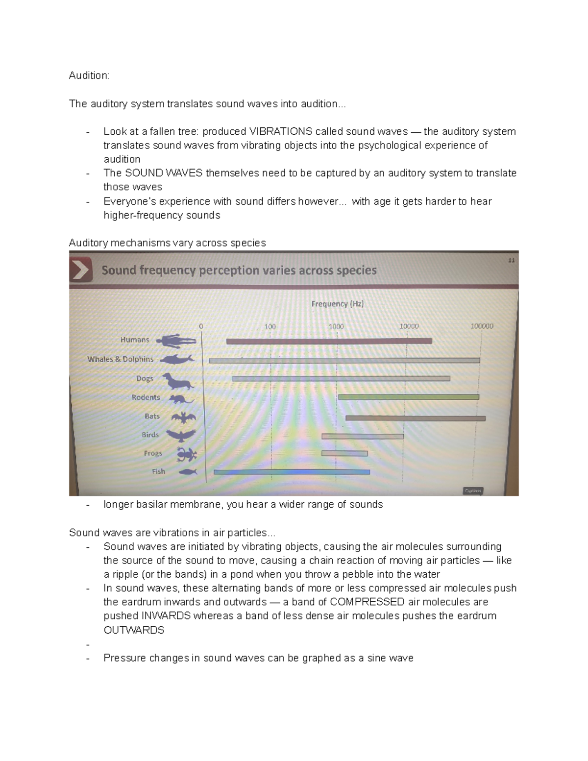 Audition web module notes - Audition: The auditory system translates ...