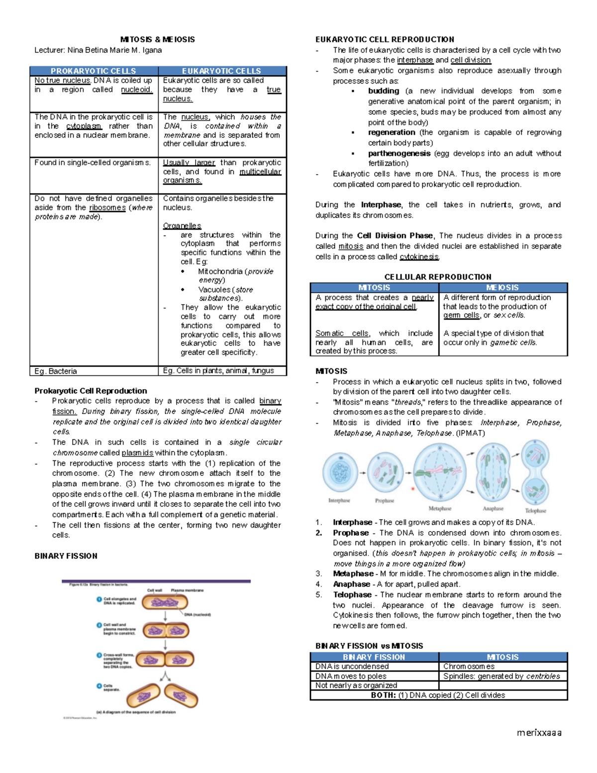 Mitosis-DNA Replication - merixxaaa MITOSIS & MEIOSIS Lecturer: Nina ...