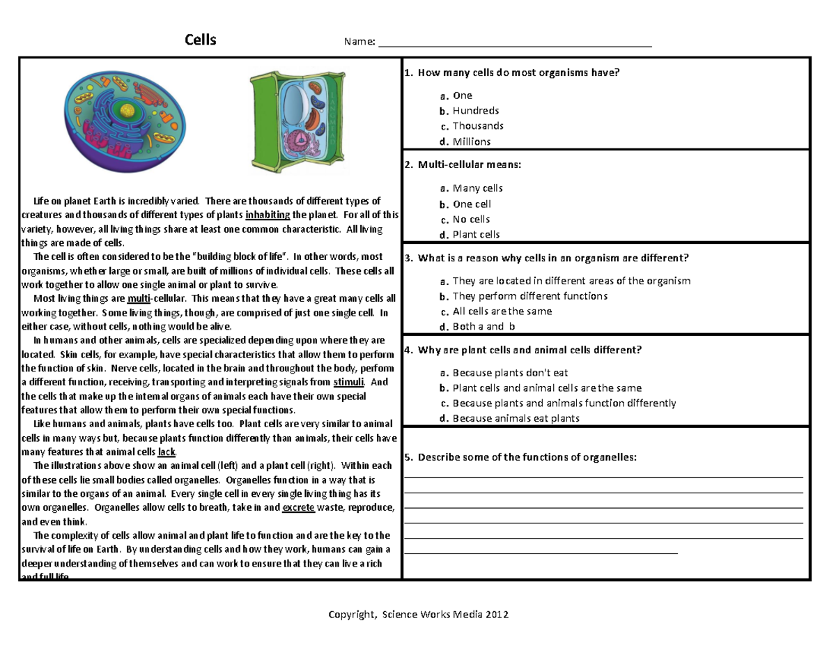 Cells Science Reading Comprehension-1 - Cells Name