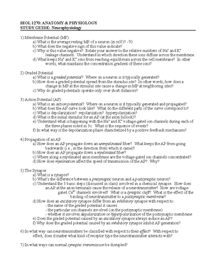 08-the brain (study guide) - BIOL 1270: ANATOMY & PHYSIOLOGY STUDY ...