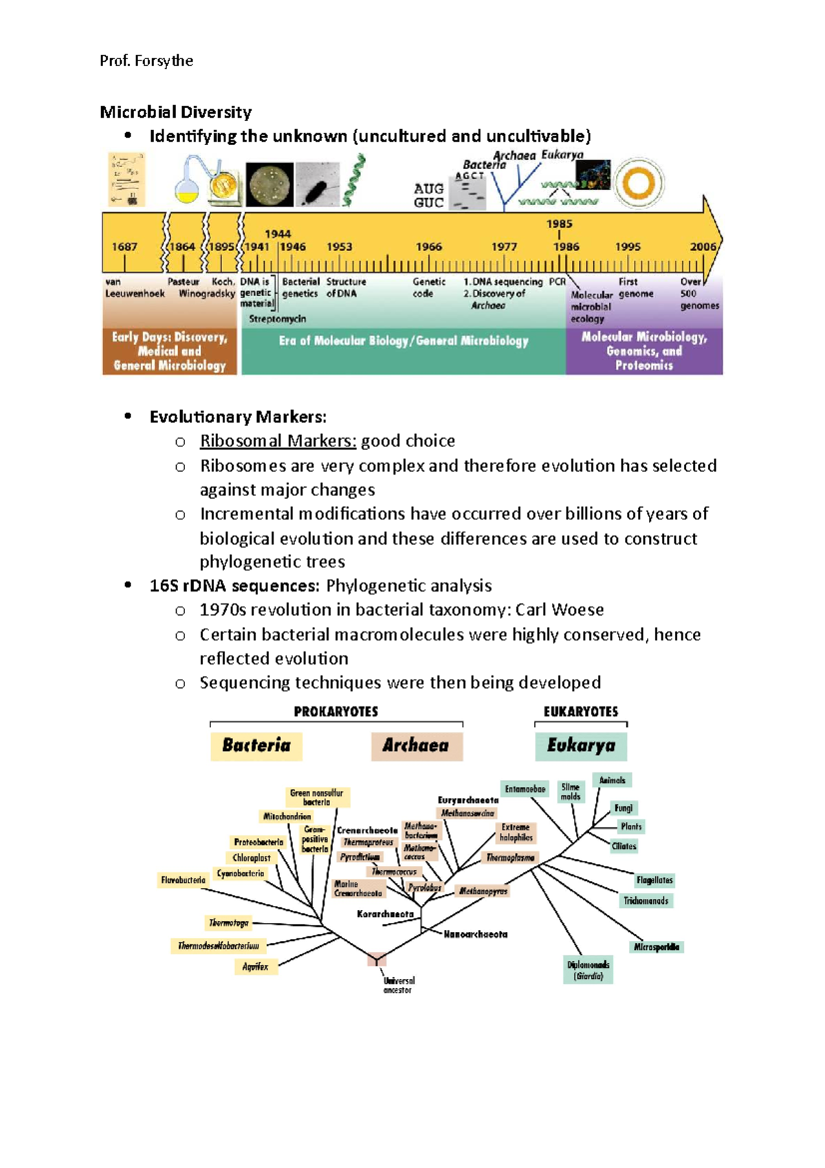 Microbial Diversity- 2 - Professor Forsythe - Prof. Forsythe Microbial ...