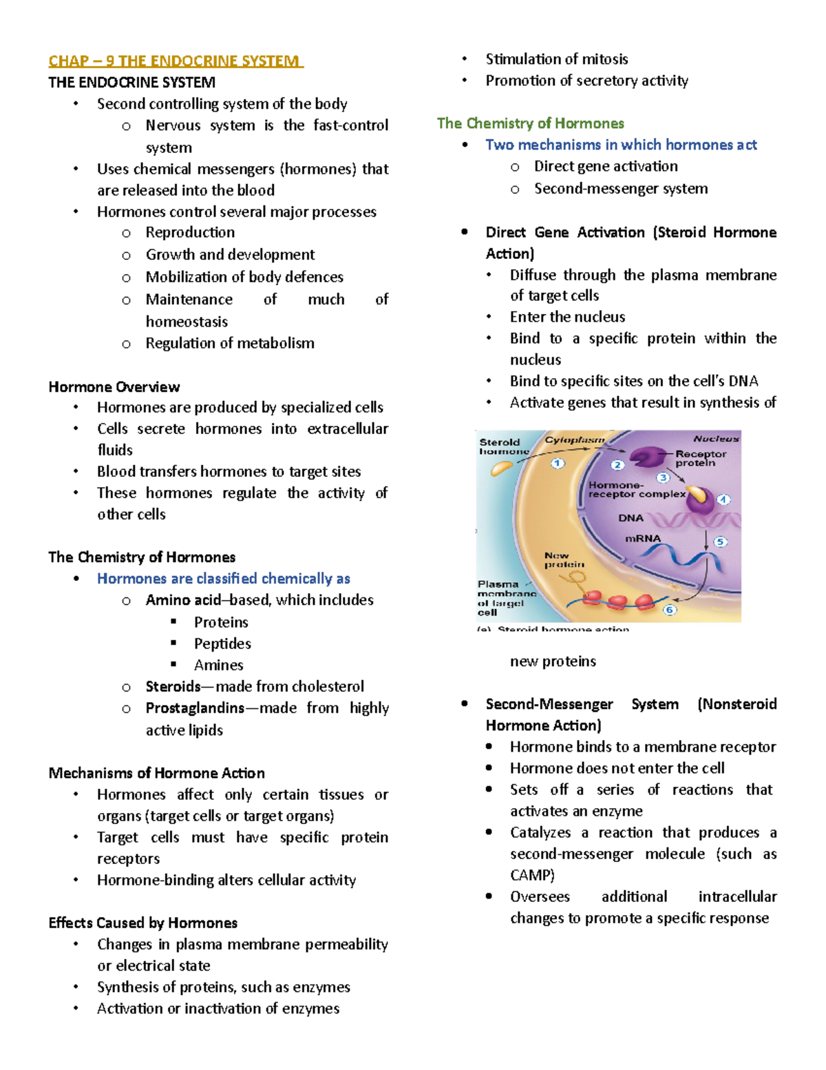 CHAP 9-12 - all chaps - CHAP – 9 THE ENDOCRINE SYSTEM THE ENDOCRINE ...