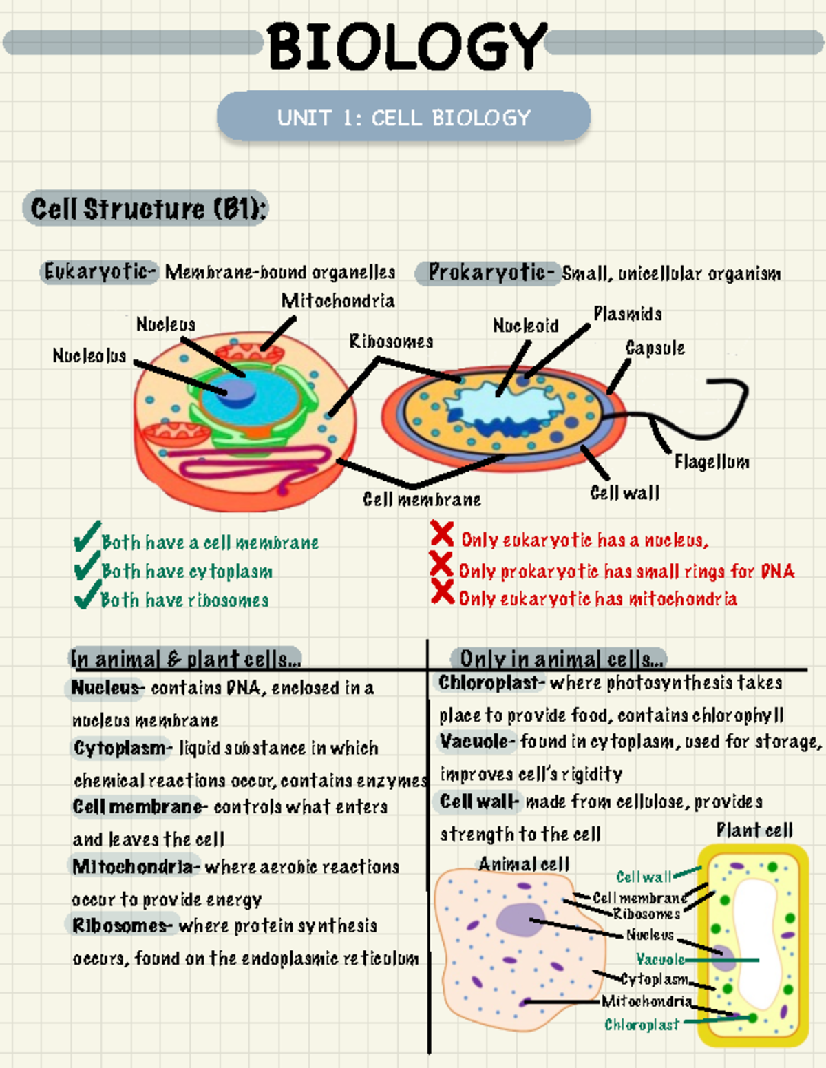 1ab59f10 bb39 1f23 ab2a e9ef81c15112 - BIOLOGY UNIT 1: CELL BIOLOGY ...