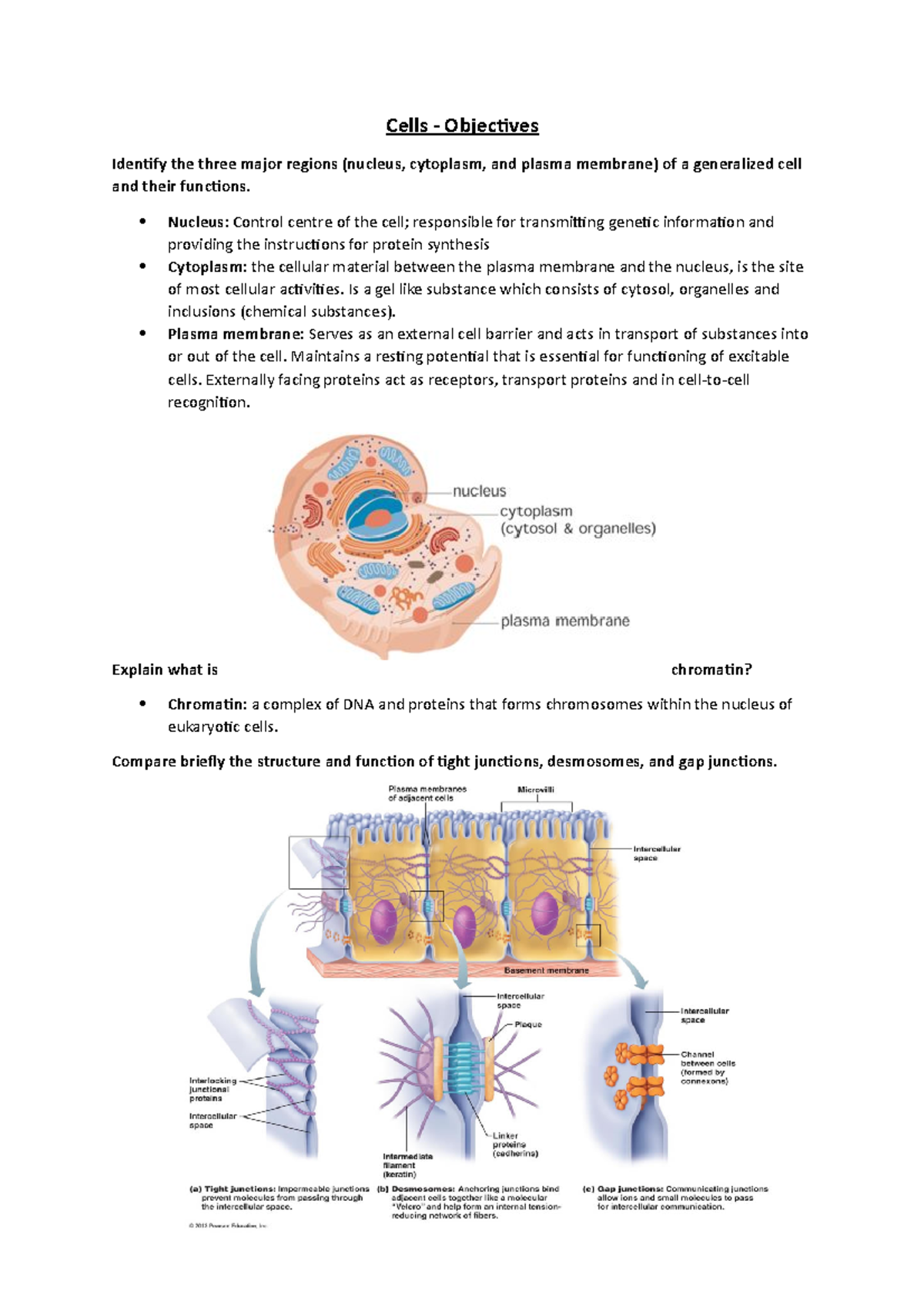 42 Anatomy Of A Generalized Cell Worksheet Answers Worksheet Information