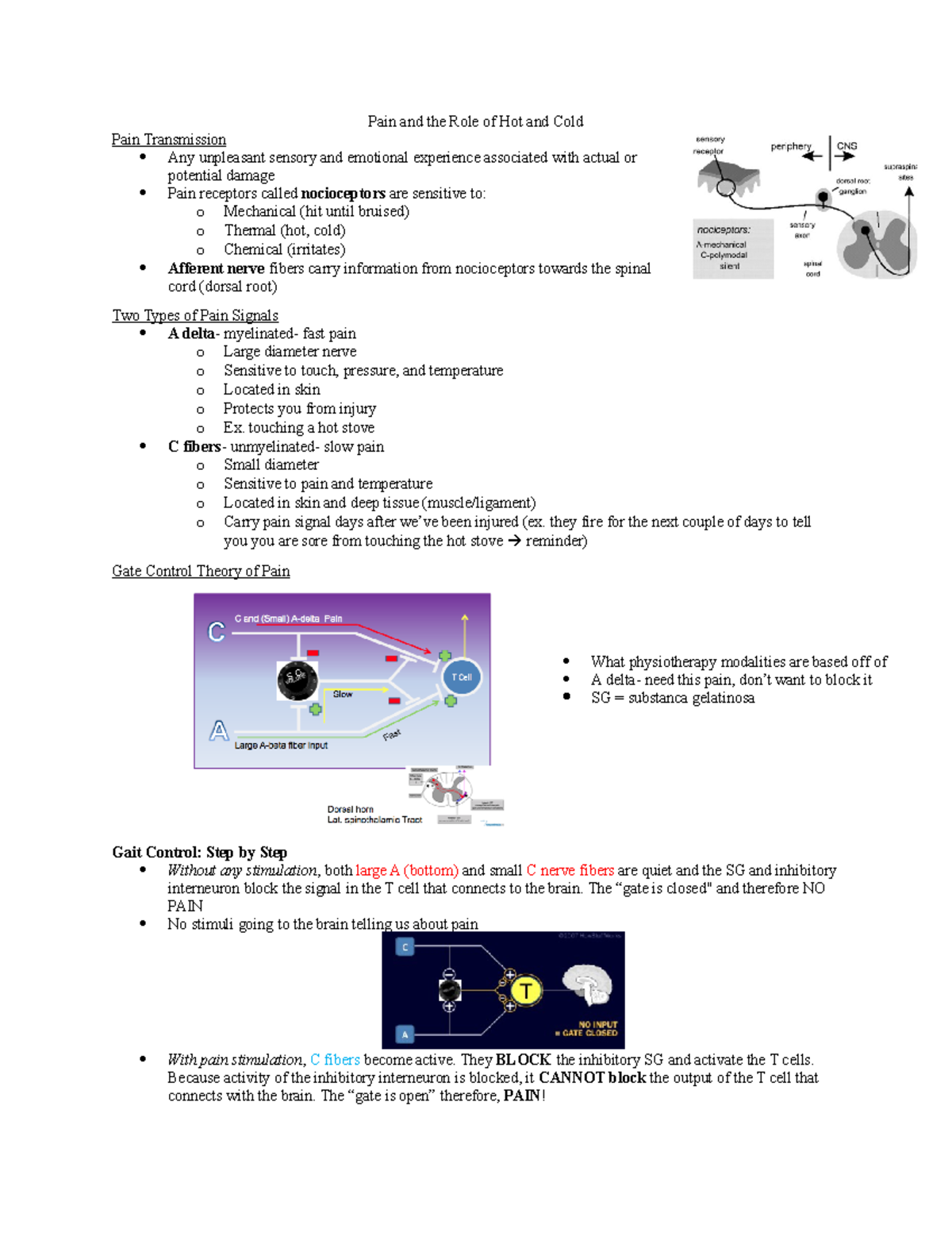 Lec 5 Pain and the Role of Hot and Cold - Pain and the Role of Hot and ...