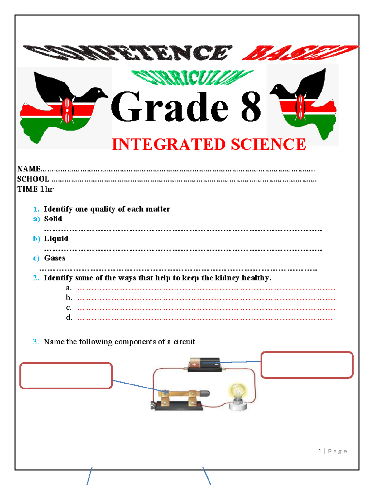 Grade 8 Integrated QS - To aspire learners to revise - Grade 8 ...