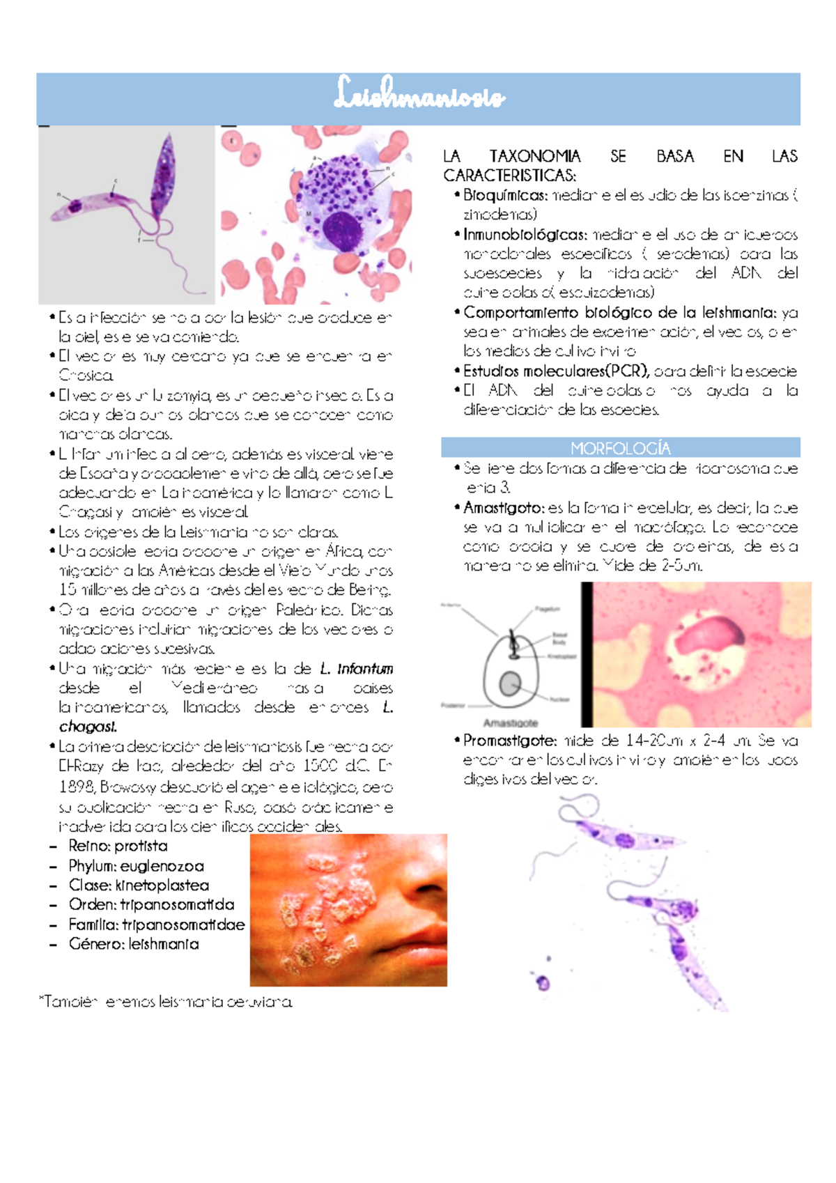 Leishmaniosis - Leishmaniosis Esta infección se nota por la lesión que produce en la piel, este ...