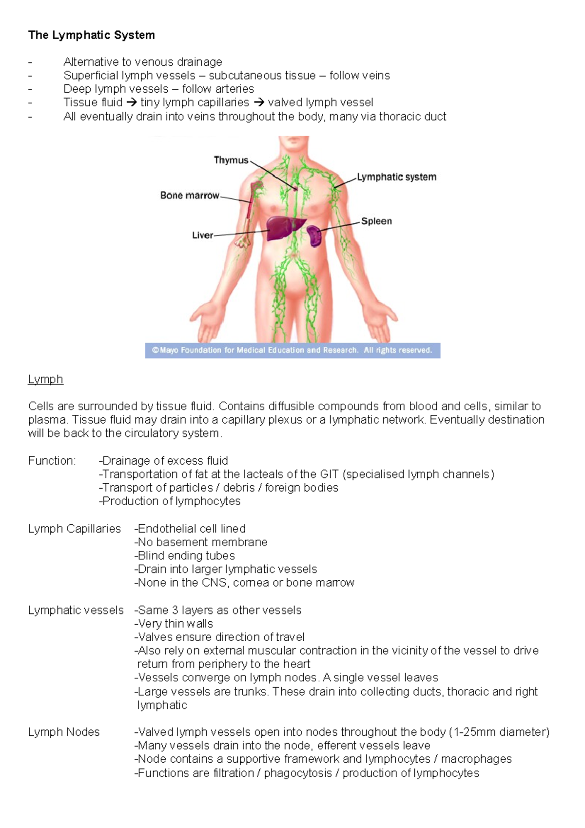 132792942 The Lymphatic System Summary - The Lymphatic System ...