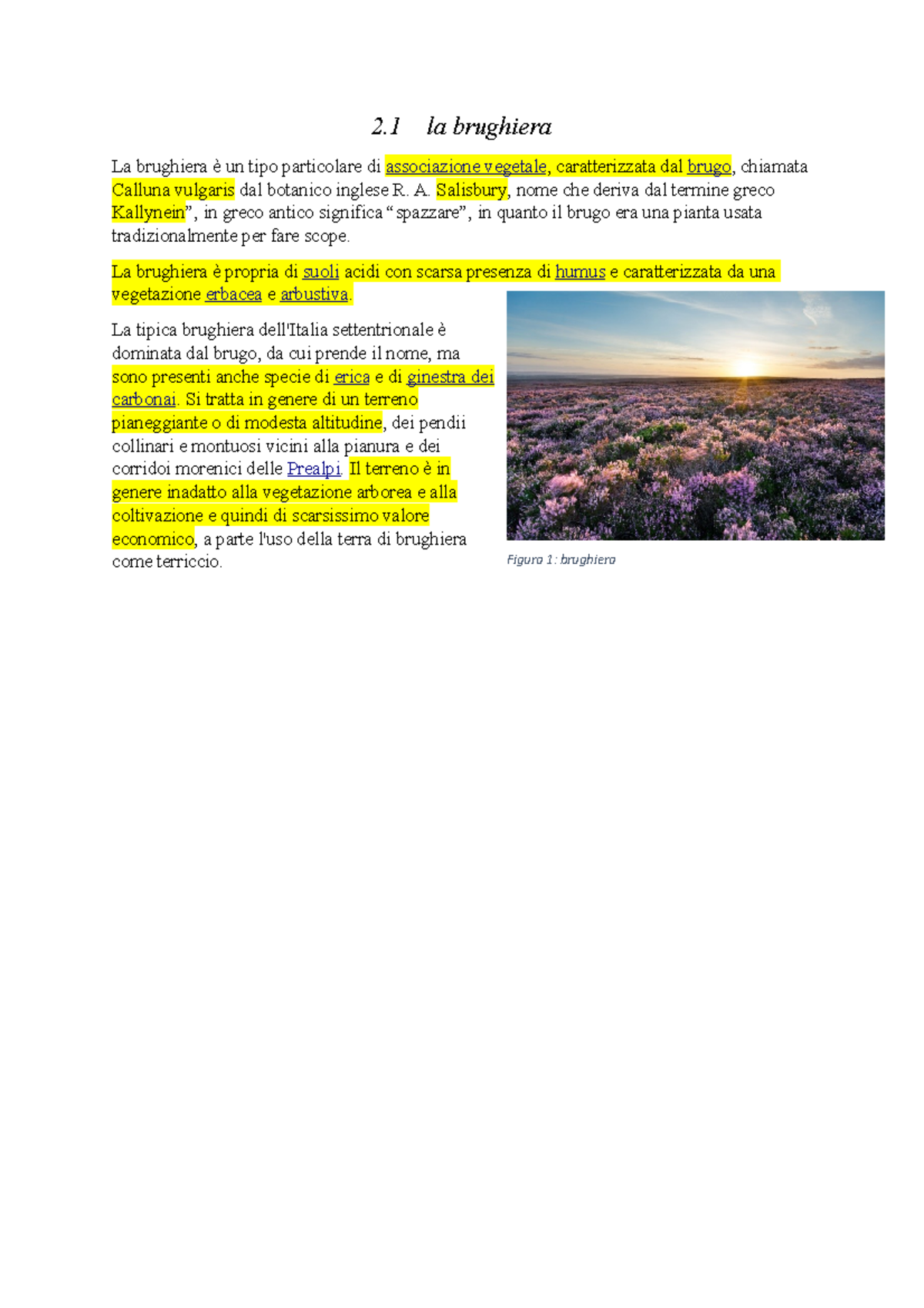 Parco ticino - descrizione della brughiera di malpensa - 2 la brughiera ...