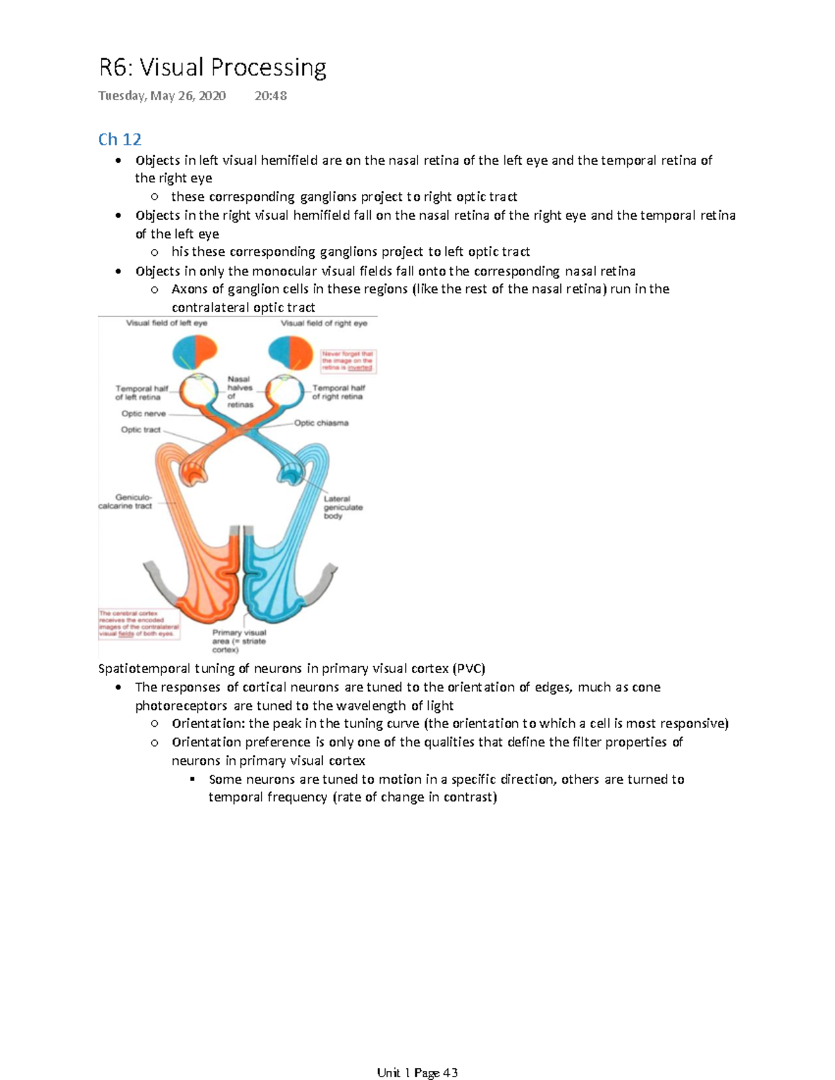 Unit 1 Reading 6 Visual Processing - Ch 12 Objects in left visual ...