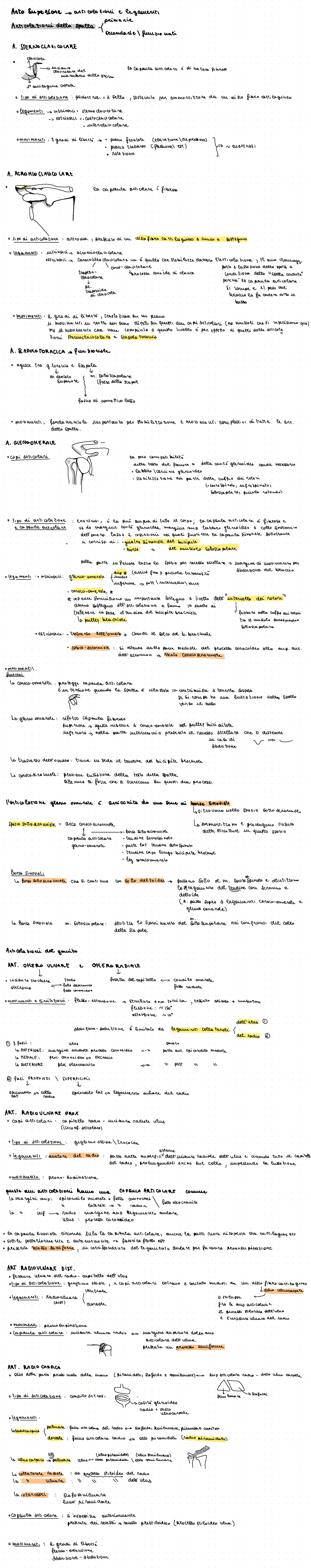 Anatomia 1 - Articolazioni e legamenti arto superiore - Anto Superione - articope tioni ergament ...