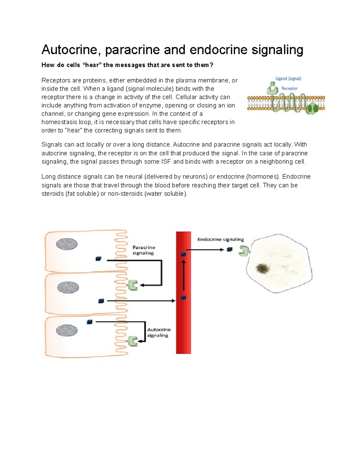 Autocrine, paracrine and endocrine signaling - When a ligand (signal molecule) binds with the ...