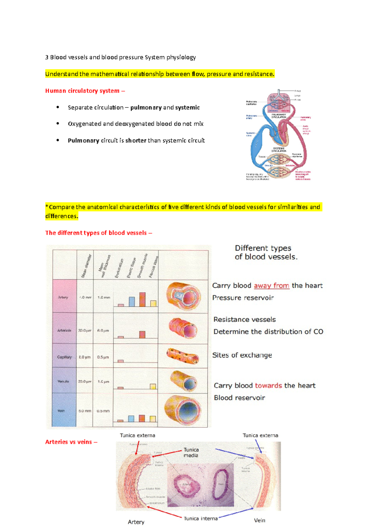 3 Blood Vessels and Blood Pressure Systems Physiology notes - 3 Blood ...