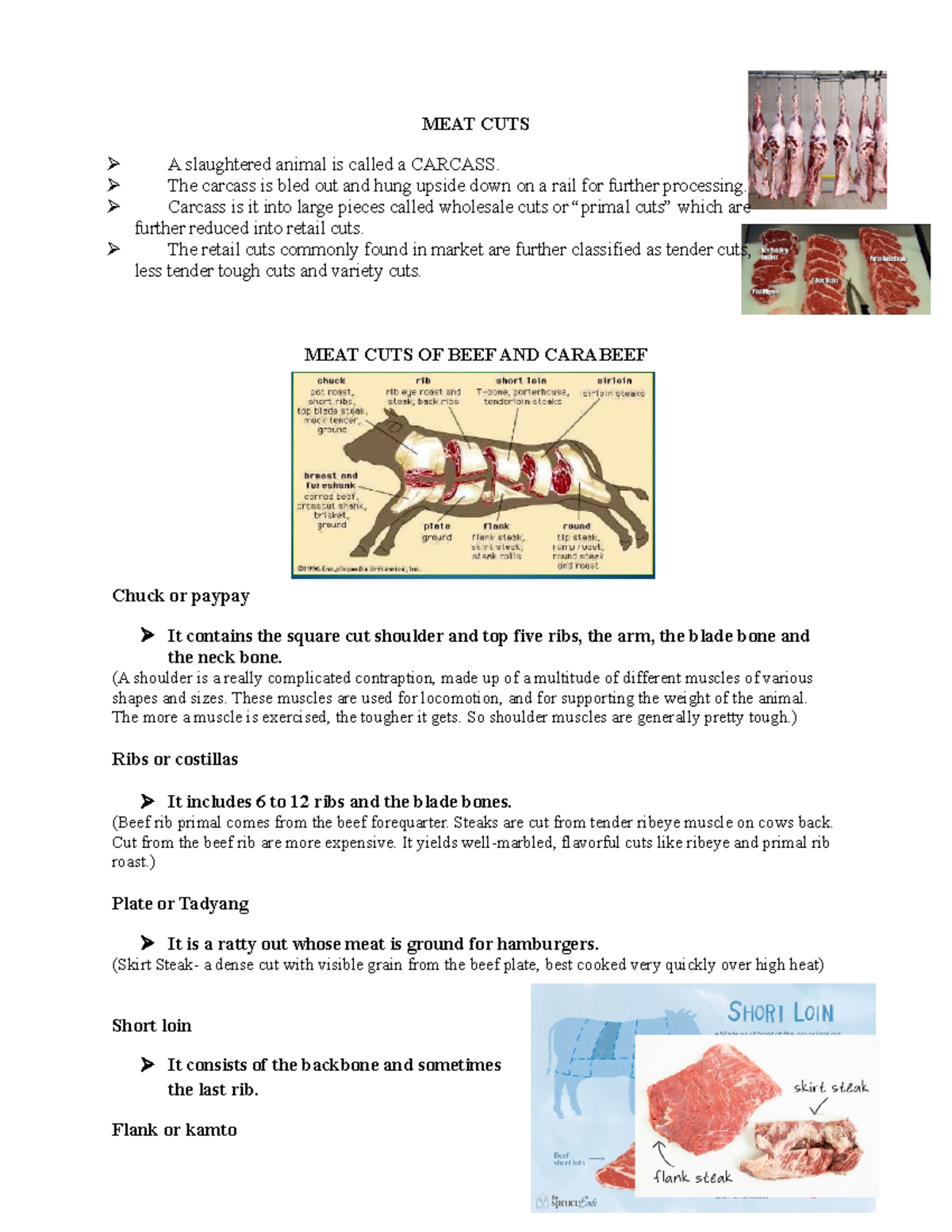 MEAT CUTS- hand out - Lecture note in Meat Cuts - MEAT CUTS A ...