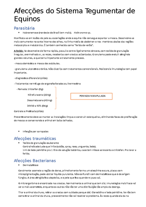 Digestório de equino - Aula completada - SISTEMA DIGESTIVO DO EQUINO ...