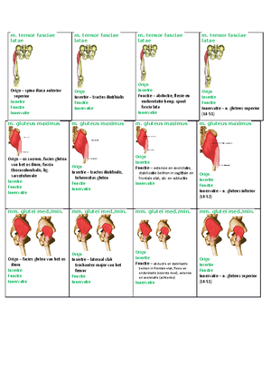 Anatomie periode 3 - Anatomie Spierkrachtentest Bovenste extremiteit ...