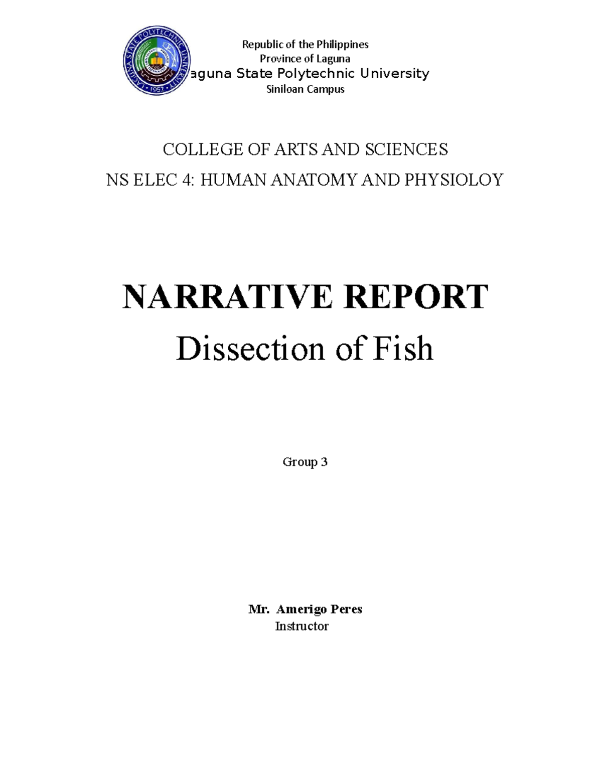 Narrative- Report - Republic of the Philippines Province of Laguna ...