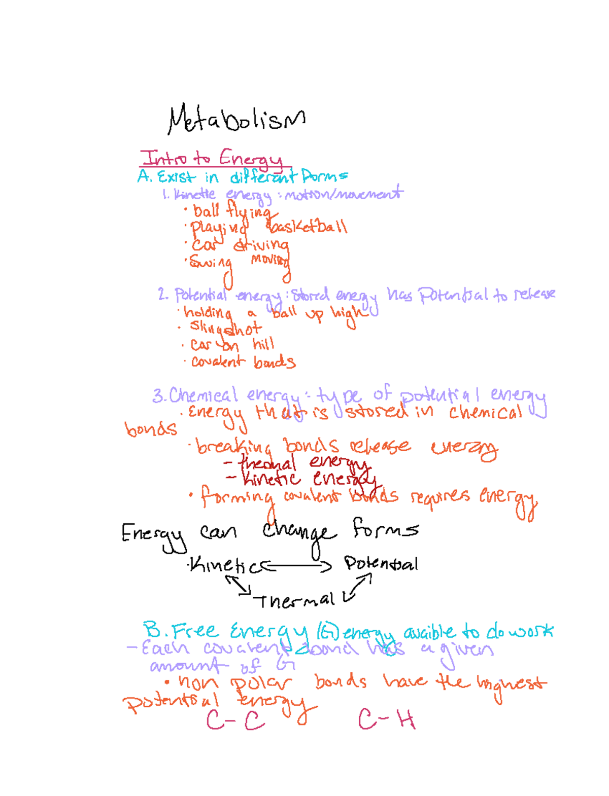 Metabolism - Notes from Dr. Gwen Strand - Metabolism Intro to Energy A ...