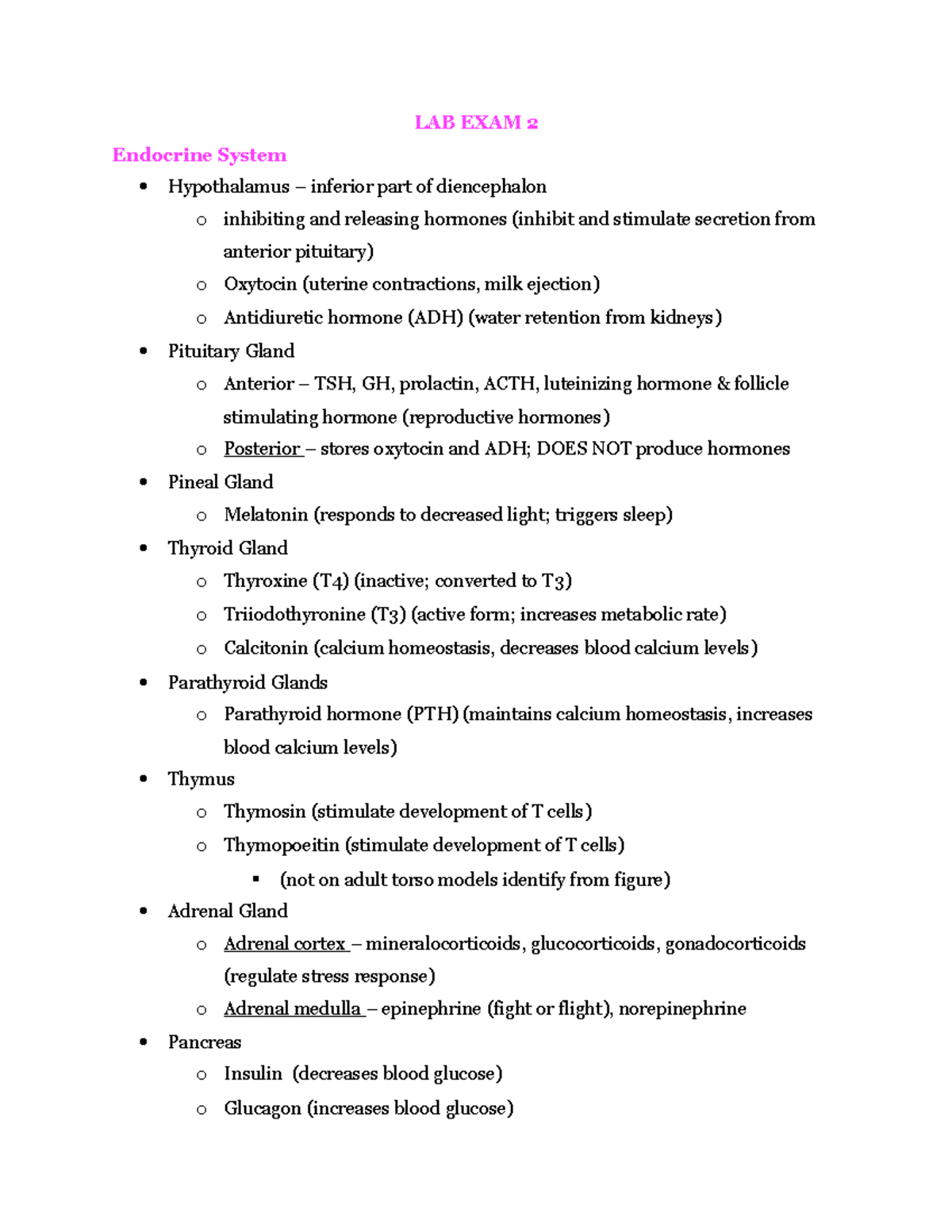 LAB EXAM 2 - study guide for lab exam 2 - LAB EXAM 2 Endocrine System Hypothalamus – inferior ...