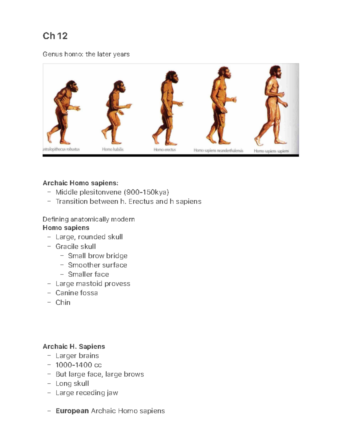 Ch 12 anth 101 notes - – – – – – – – – – – – – – – – – Ch 12 Genus homo ...