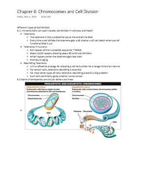 Cellular Reproduction Notes - Biology 100 Cellular Reproduction What is ...