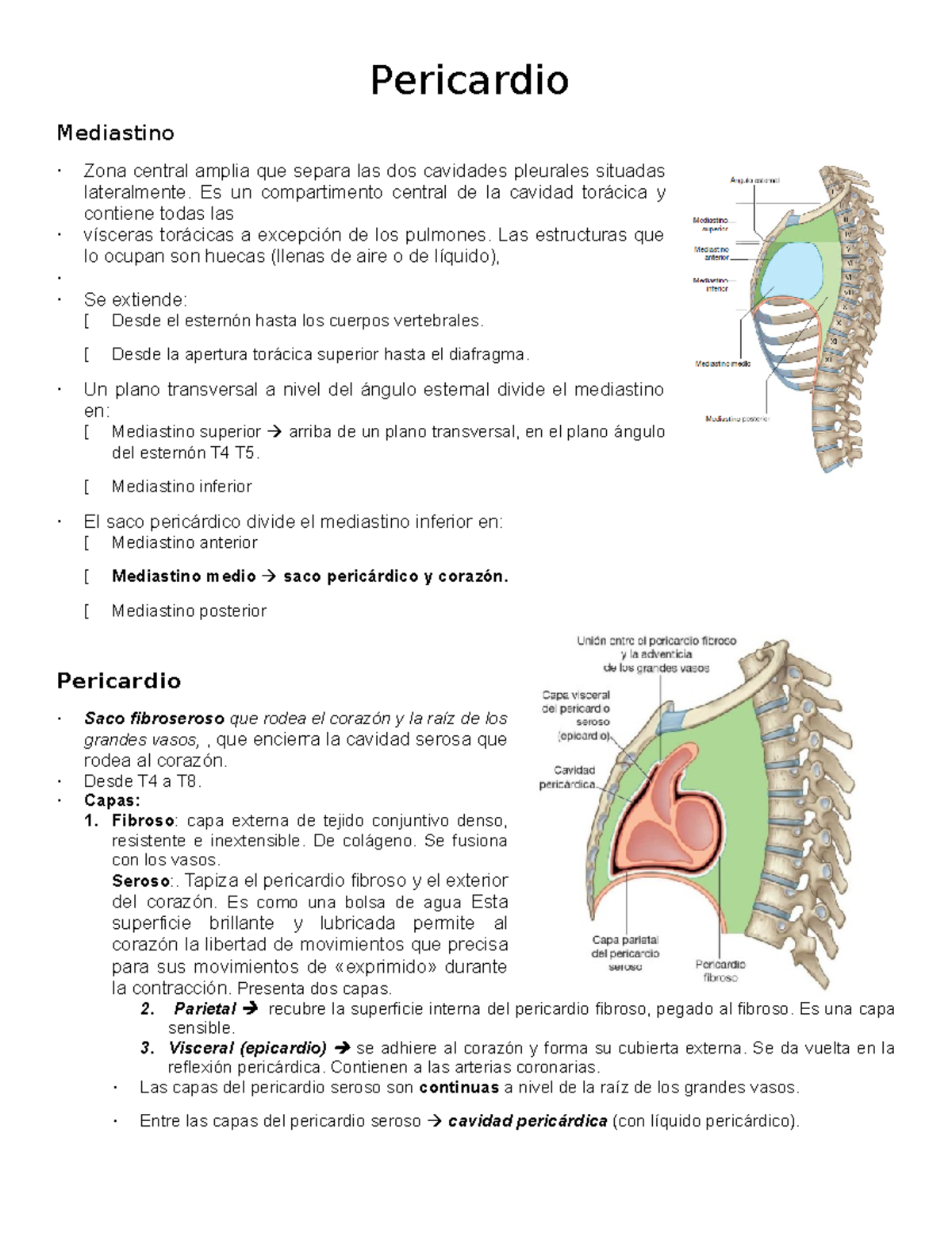 6. Pericardio - Pericardio Mediastino Zona central amplia que separa ...