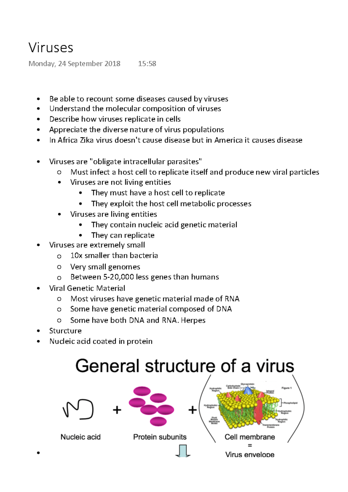 Viruses - Be able to recount some diseases caused by viruses Understand ...