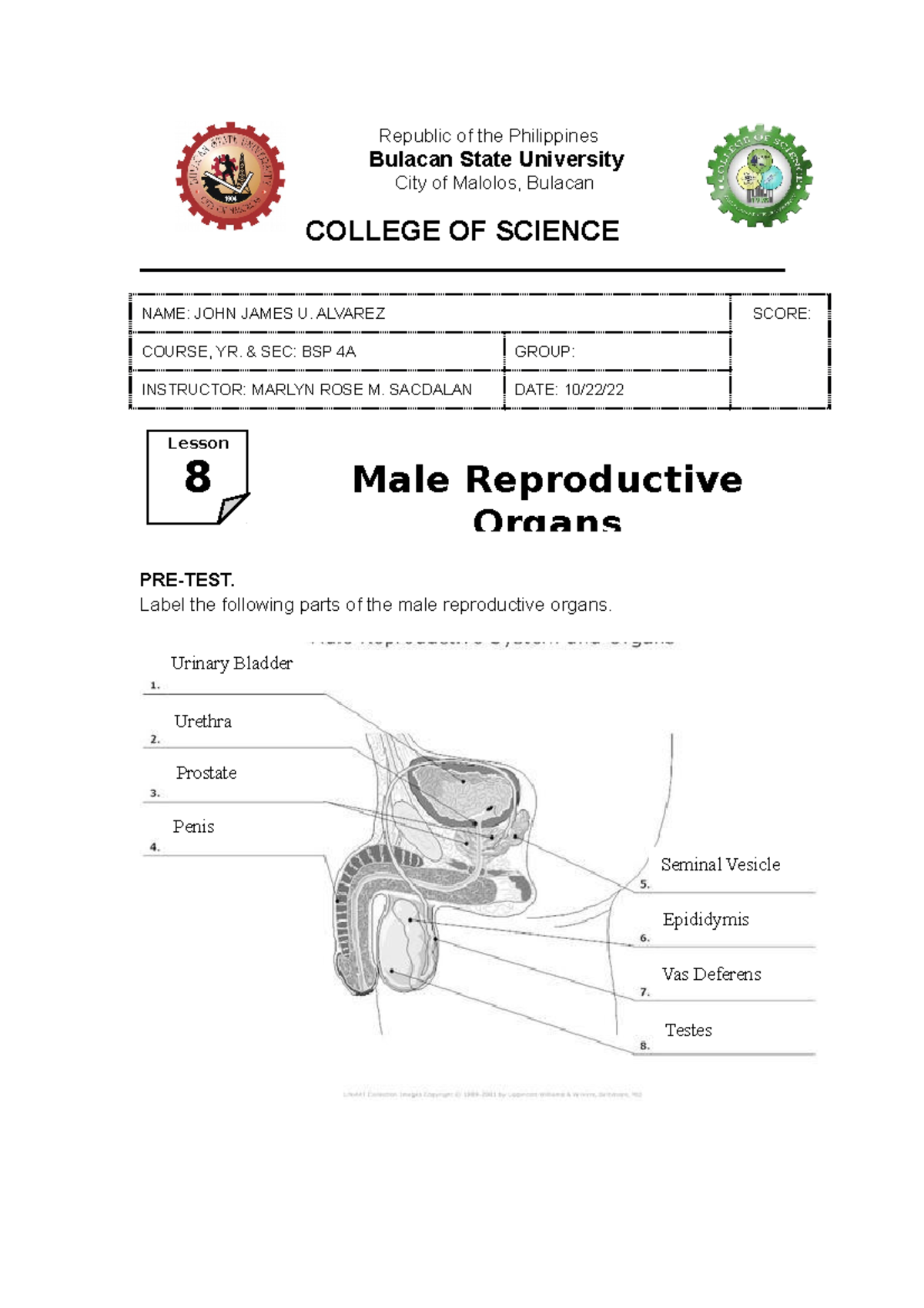 Activity 8 - Alvarez, John James U - Republic of the Philippines ...