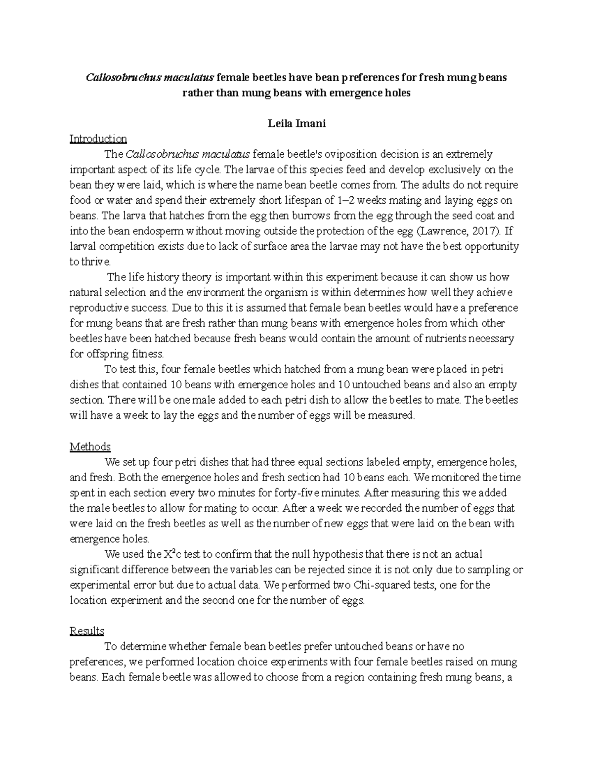 Bean Beetle Lab Report - Callosobruchus maculatus female beetles have ...