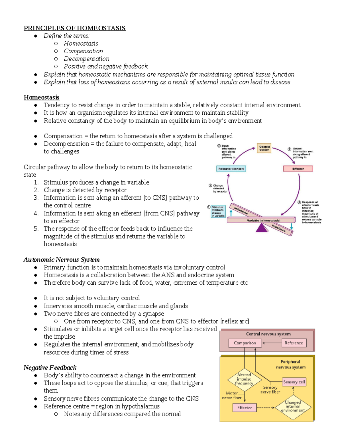 Principles OF Homeostasis - PRINCIPLES OF HOMEOSTASIS Define the terms ...