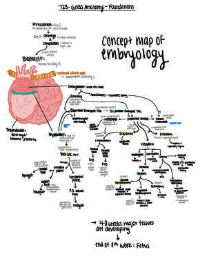 Embryology- Concept map - Fertilizationdayo inampullaofuterinetube t ...