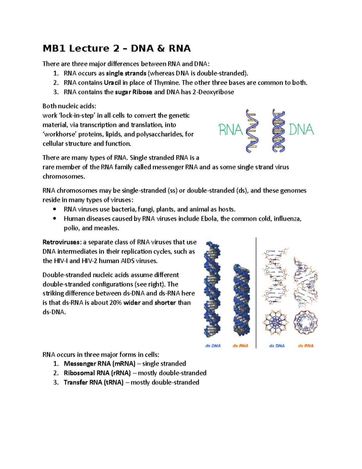 Lecture 2 - DNA & RNA - MB1 Lecture 2 – DNA & RNA There are three major ...