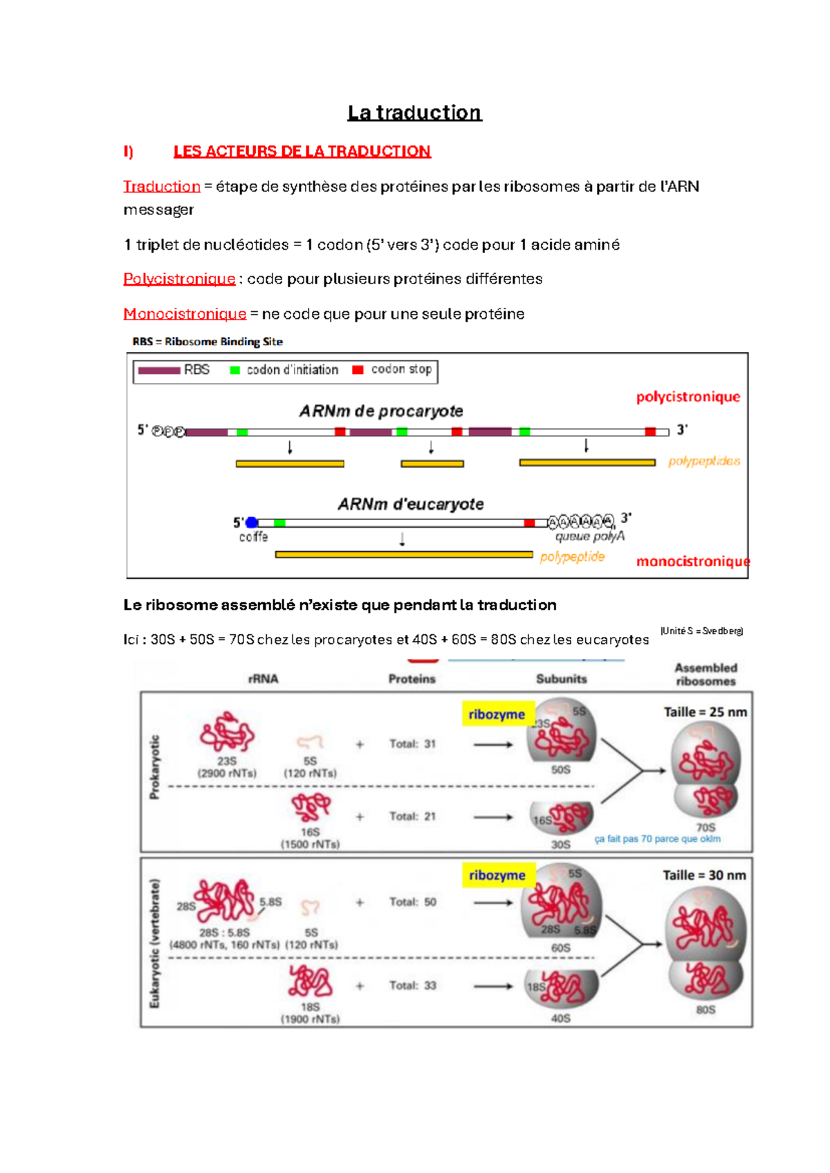 Traduction notes de cours - La traduction I) LES ACTEURS DE LA ...