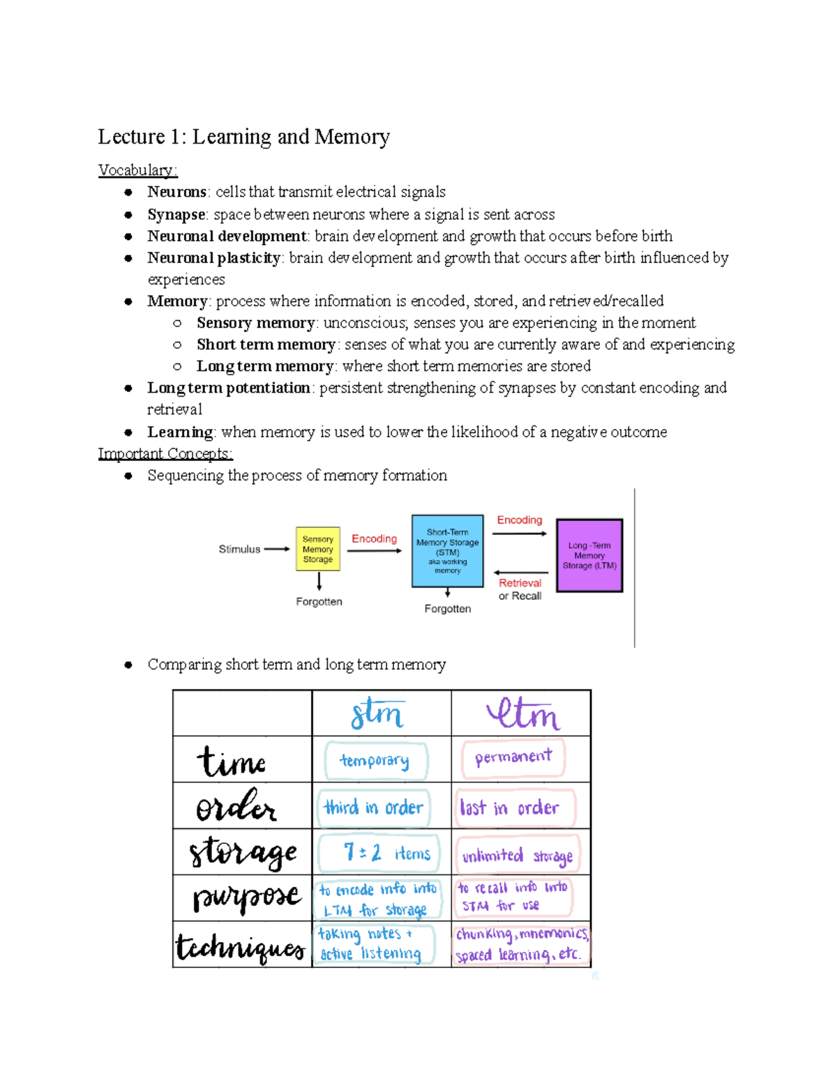 Biology I Exam 1 Outline - Lecture 1: Learning and Memory Vocabulary ...