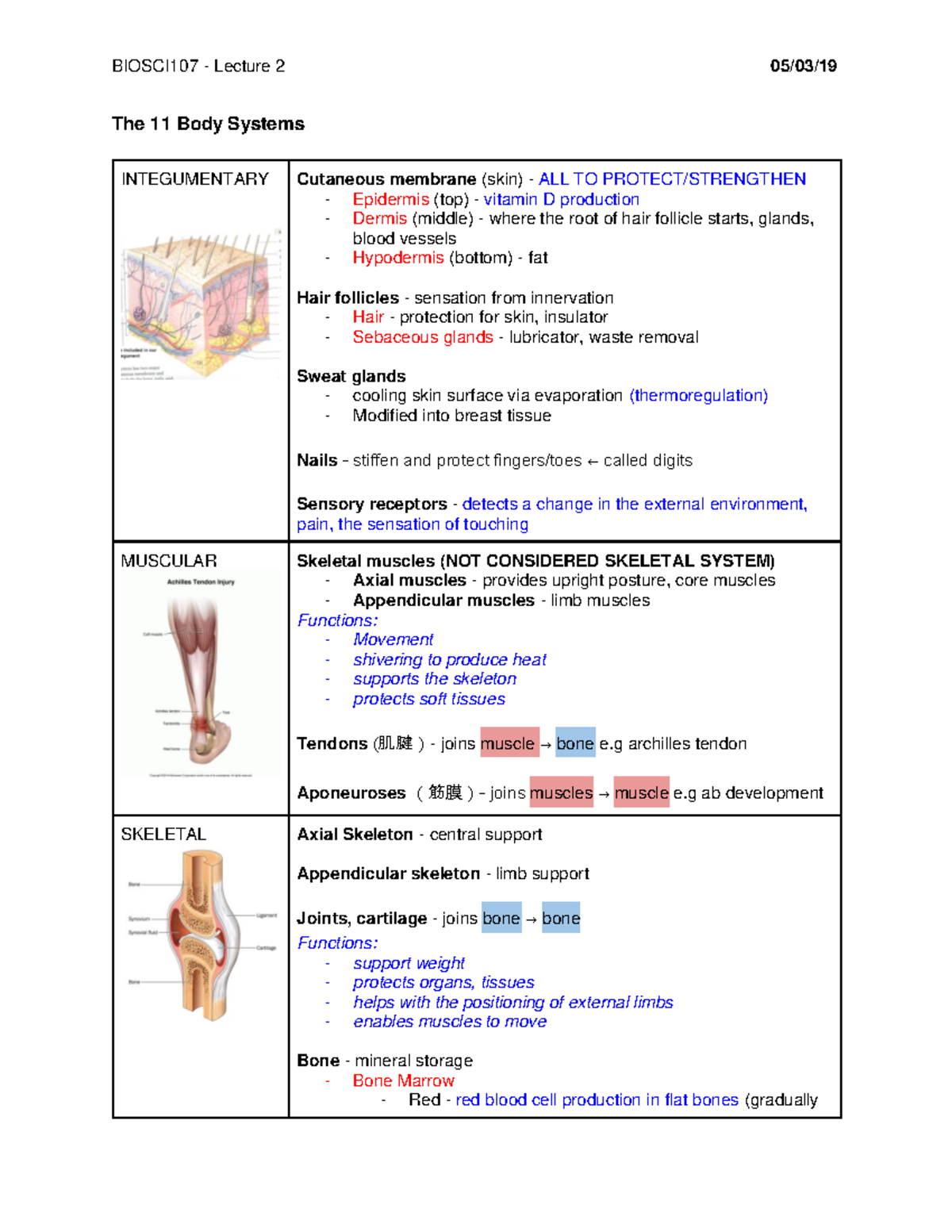 The 11 Body Systems - Anatomy fundamentals - The 11 Body Systems ...