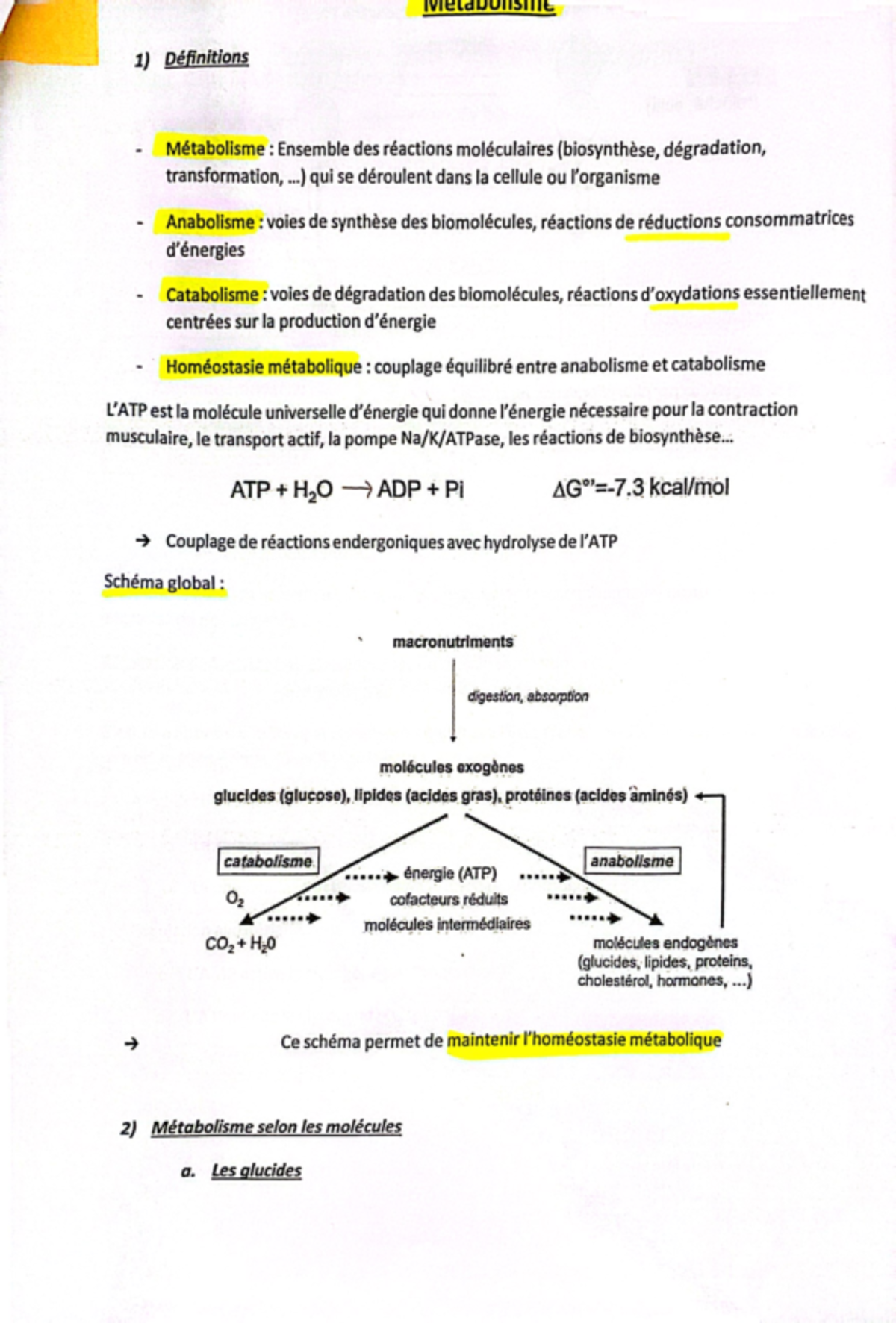 Metabolisme - Biologie Cellulaire et Moléculaire - Studocu