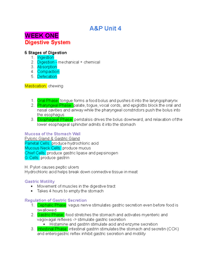 Unit 4 LAB Screenshots PDF - Unit 4 (Limb Vessels & Nervous System) LAB ...