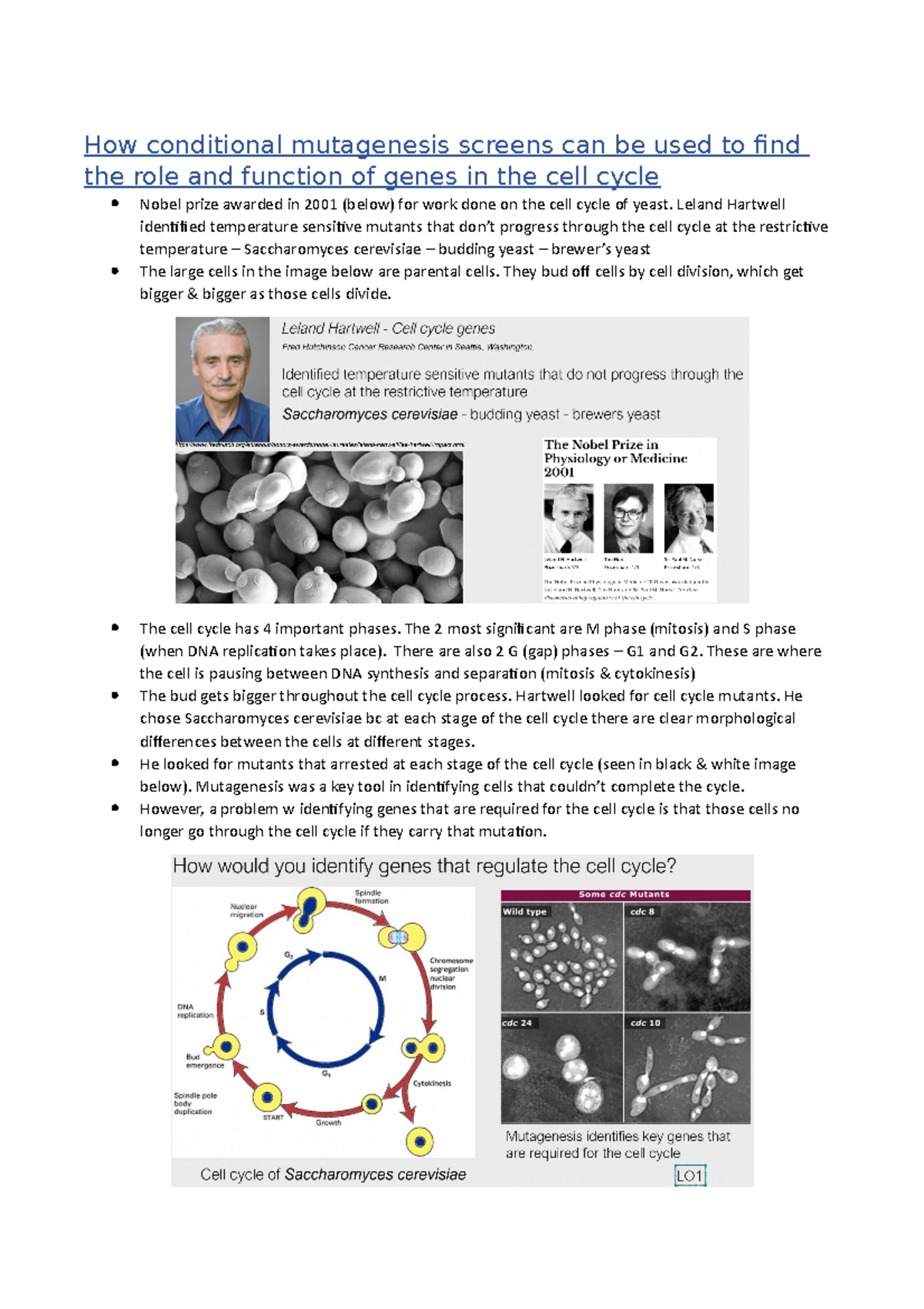 Genetic analysis & mutagenesis screens - How conditional mutagenesis ...