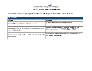 CYB 310 Module Three Lab Worksheet - CYB 310 Module Three Lab Worksheet ...