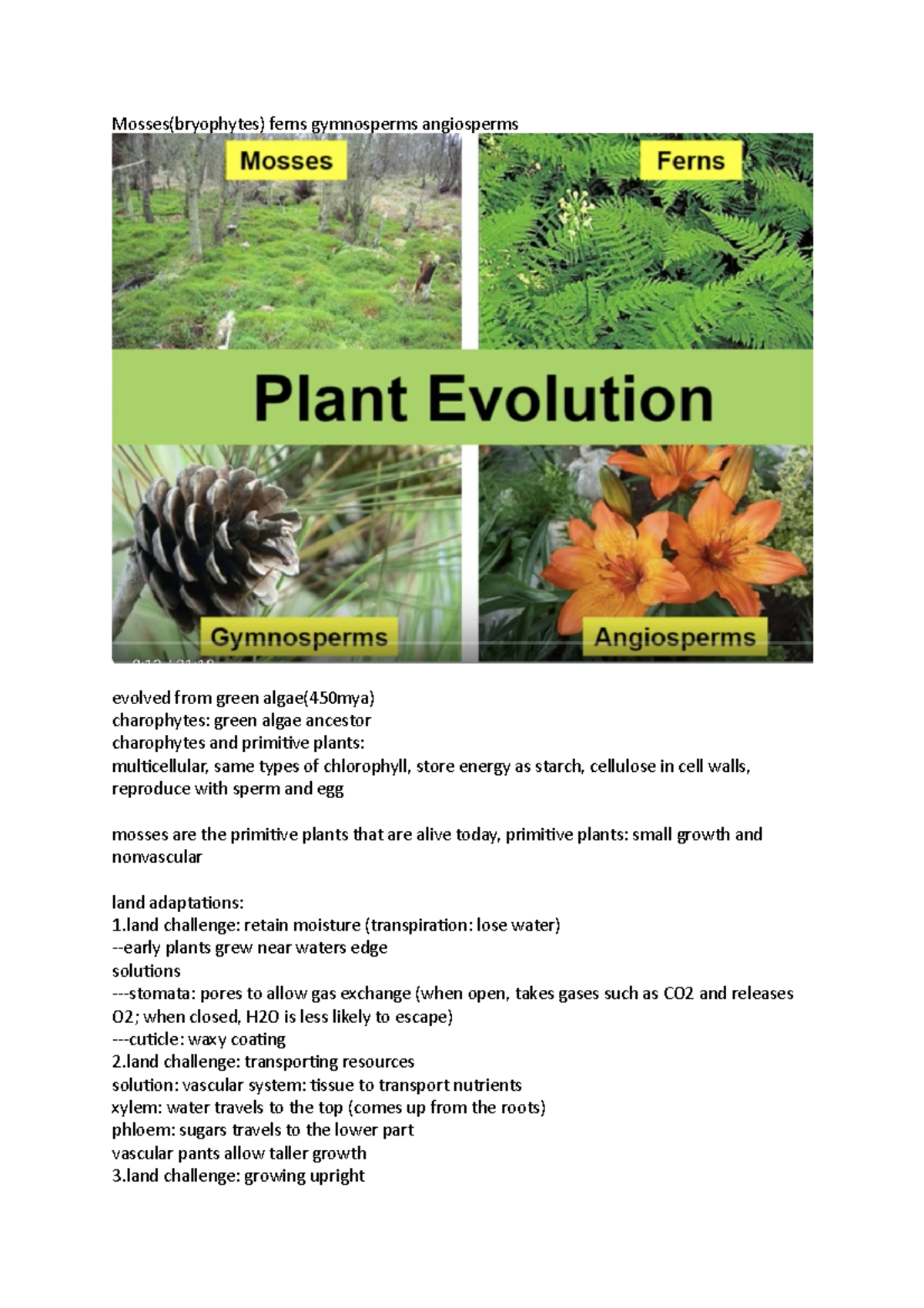 Plants evolutionary - Lecture notes 22 - Mosses(bryophytes) ferns ...