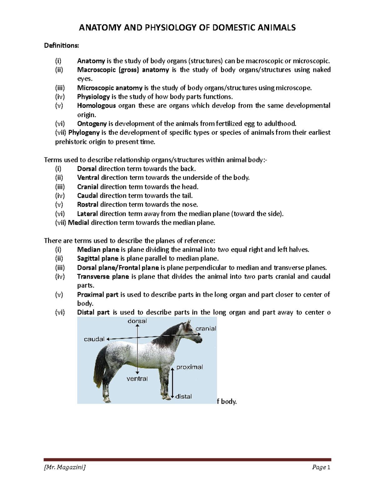 Anatomy AND Phisiology CAHP 2015 - ANATOMY AND PHYSIOLOGY OF DOMESTIC ...