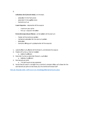 (6) Skeletal Muscle - Roles of Muscles Agonists – directly responsible ...