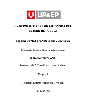 3 Osteologia Apendicular FMVZ 2019 - ESQUEMAS DE ESQUELETO APENDICULAR ...