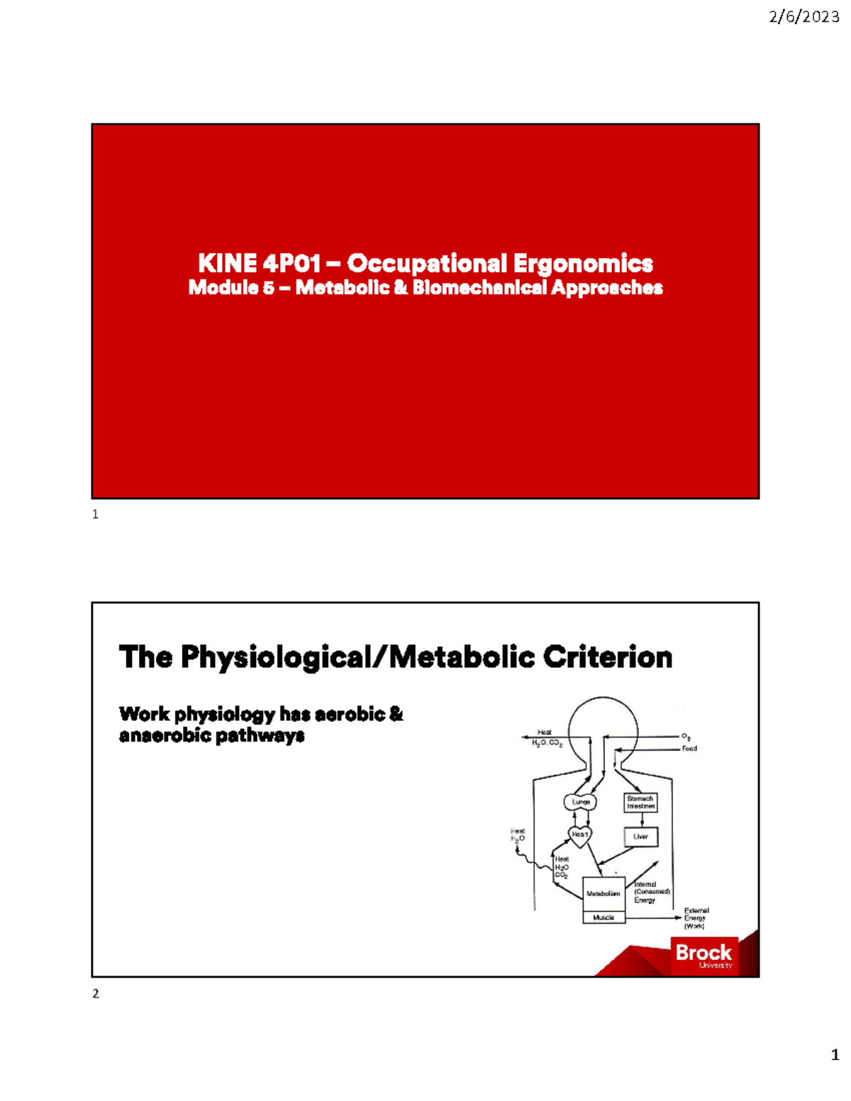 Module 5 - Biomechanical & Metabolic Approaches Students - 8-hour Range of Limits in Ergonomics ...