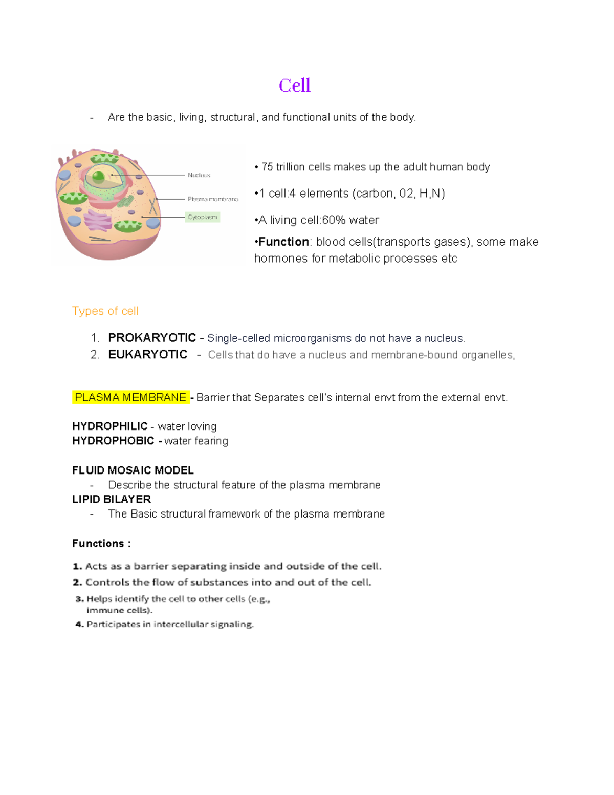 CELL - Human cell - Cell - Are the basic, living, structural, and ...