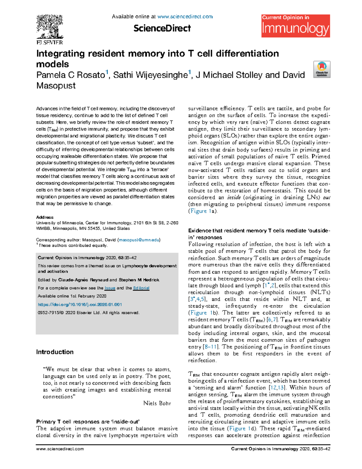 Integrating resident memory into T cell differentiation models - Here ...