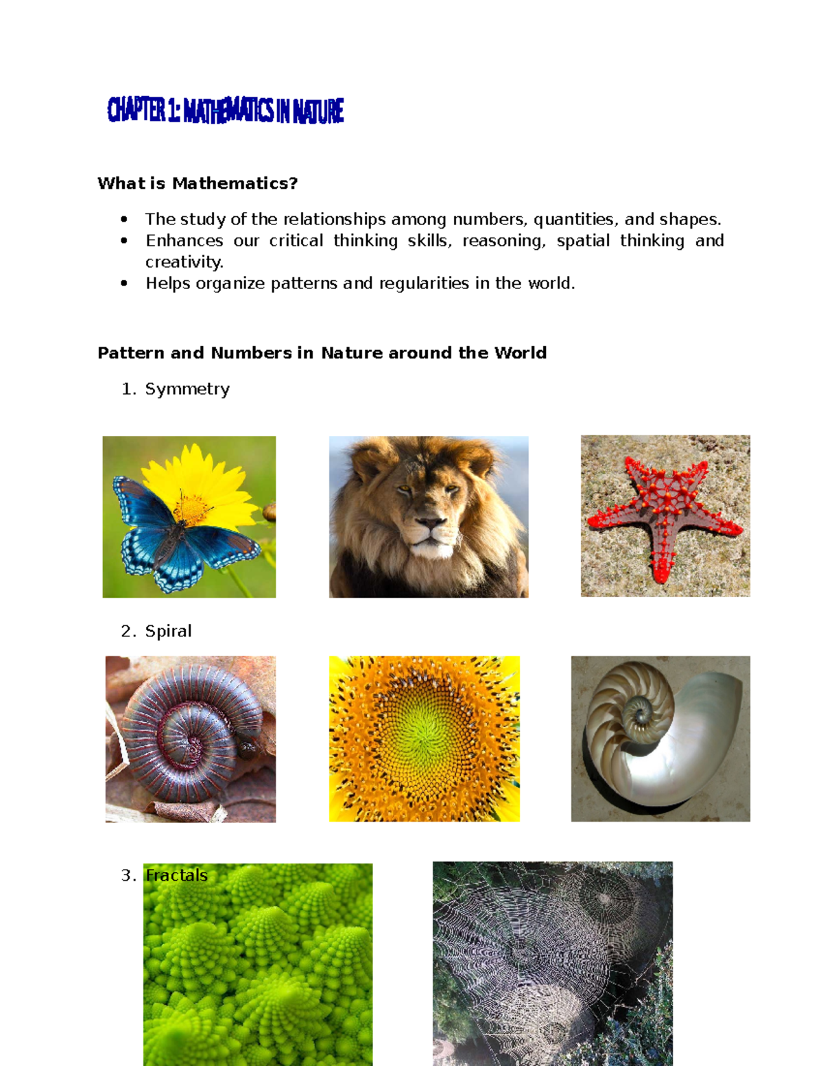 Activity 1 Nature Of Mathematics What Is Mathematics The Study Of 