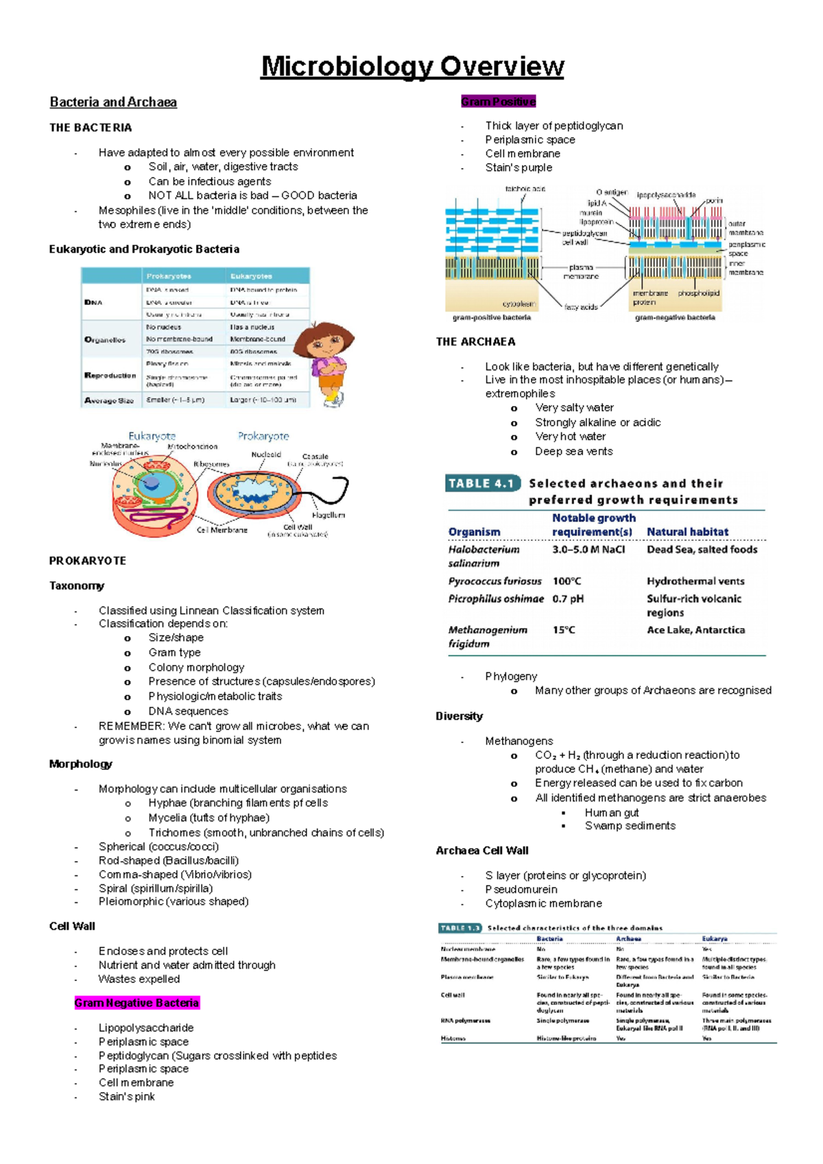 Microbiology Overview - Microbiology Overview Bacteria and Archaea THE ...