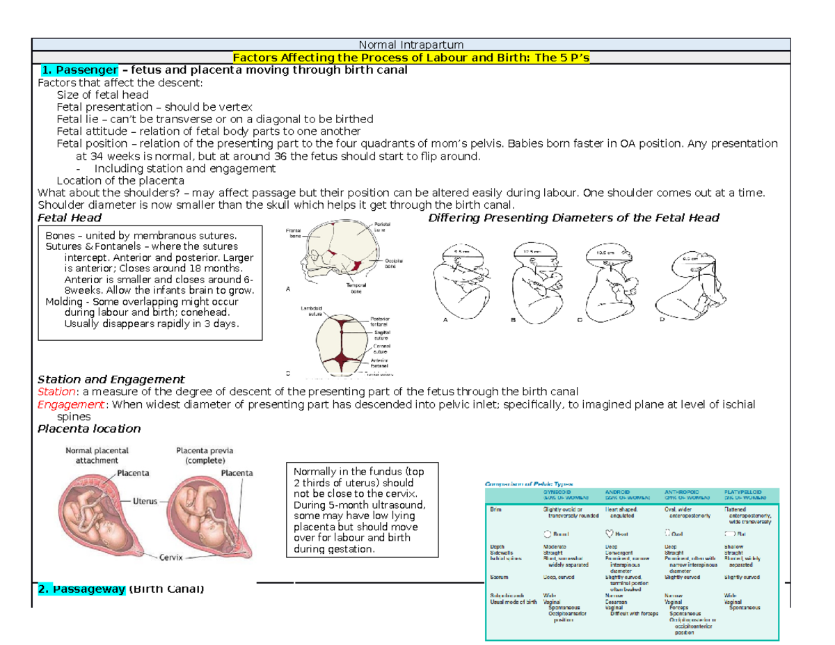 Concept map Mod 3 - Normal Intrapartum Factors Affecting the Process of ...