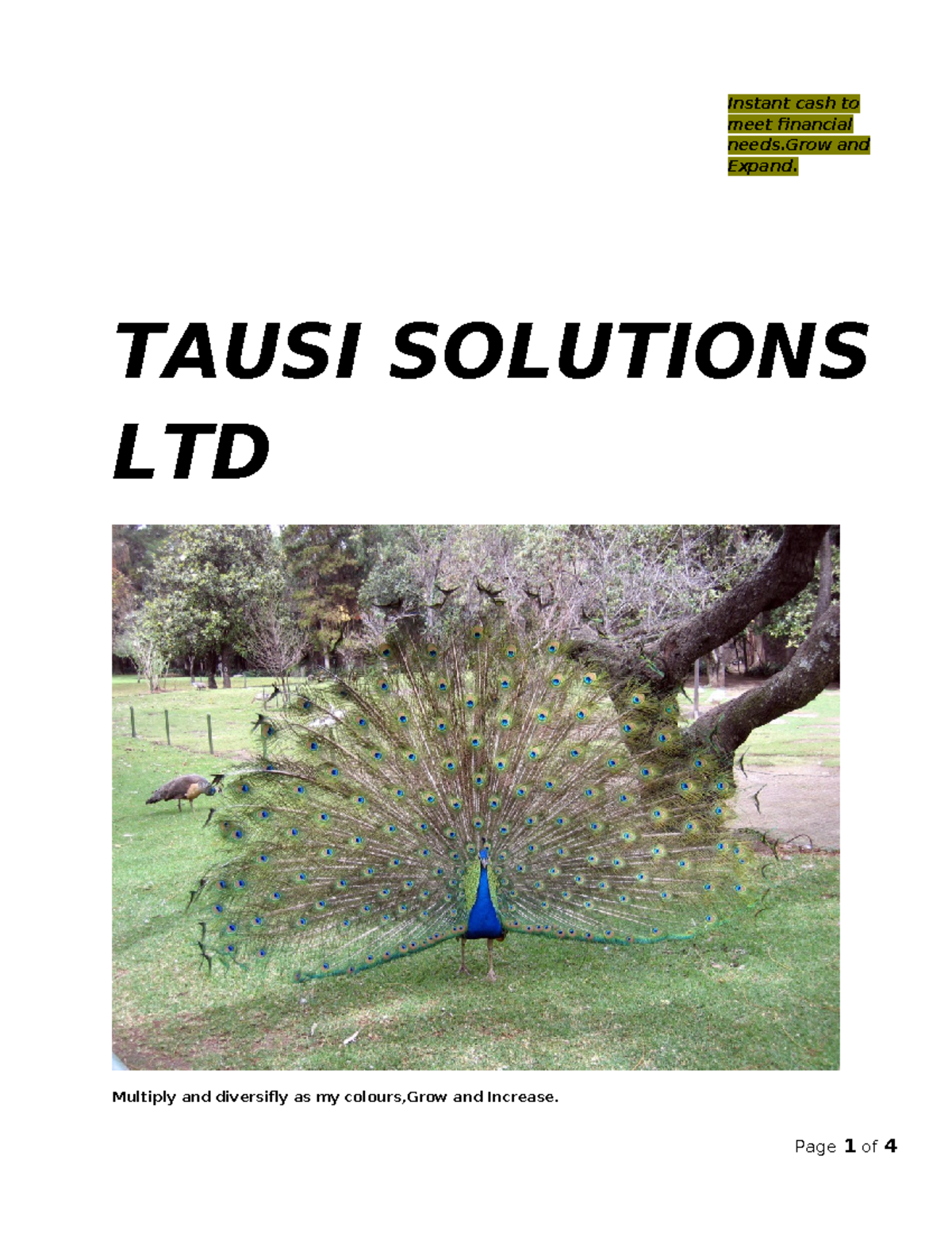 Tausi Solutions LTD LOAN FORM A 2023. 001 - ####### Instant cash to ...